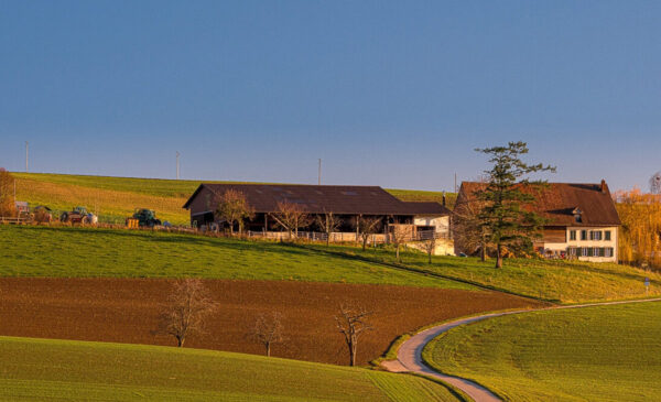 Ferme des Terres Rouges | Produits à la Ferme | Foodspotters