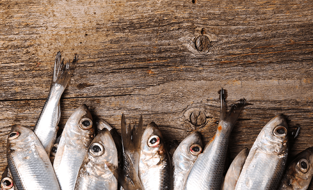 Royal Fish | Produits de la mer & Poisson Frais | Foodspotters